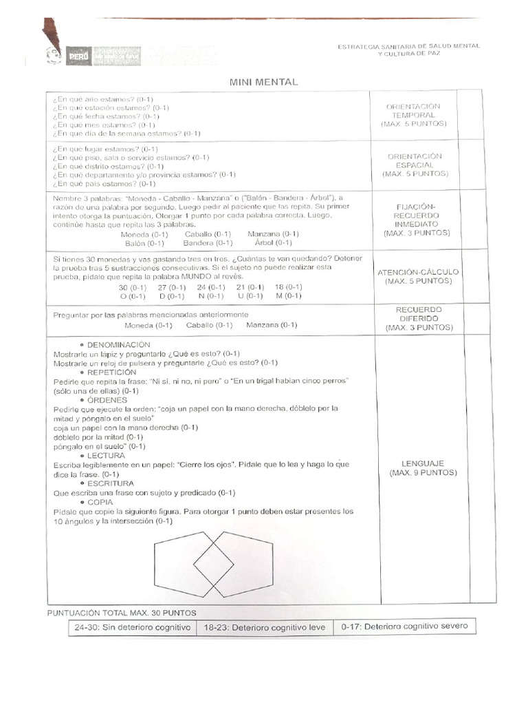 Mini Mental | PDF