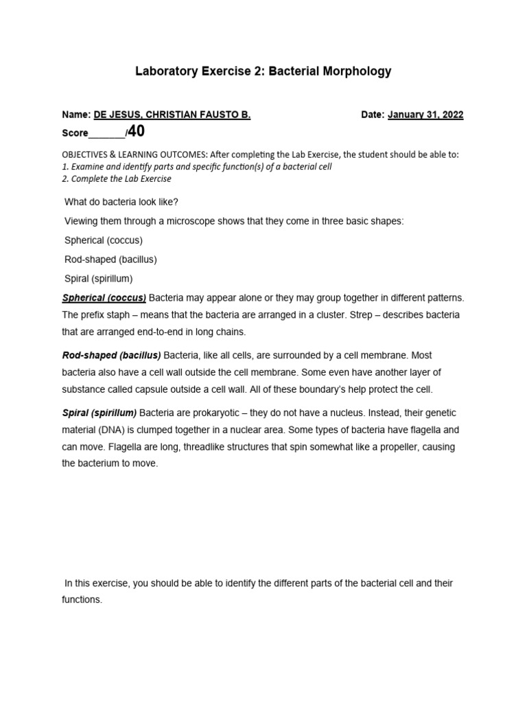 Laboratory Exercise 2 | PDF | Cell (Biology) | Bacteria