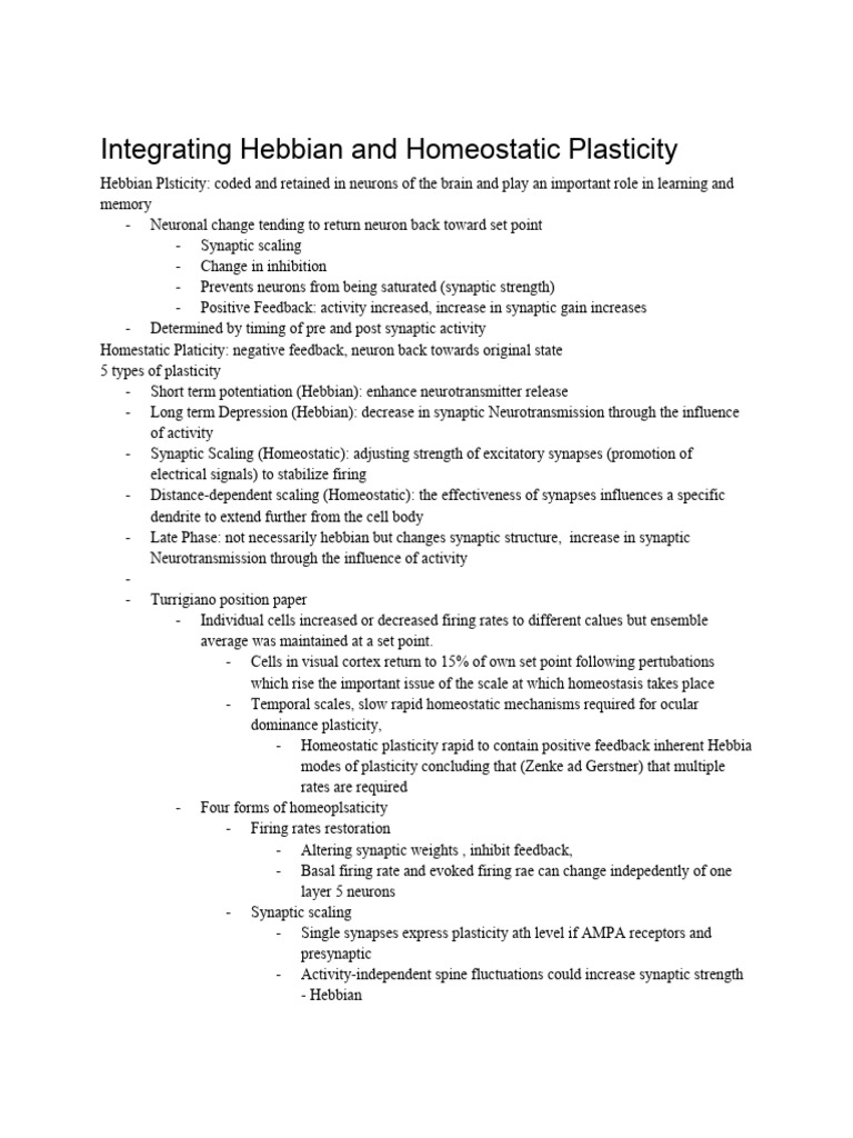 Hebbian and Homeostatic Learning | PDF | Synapse | Synaptic Plasticity