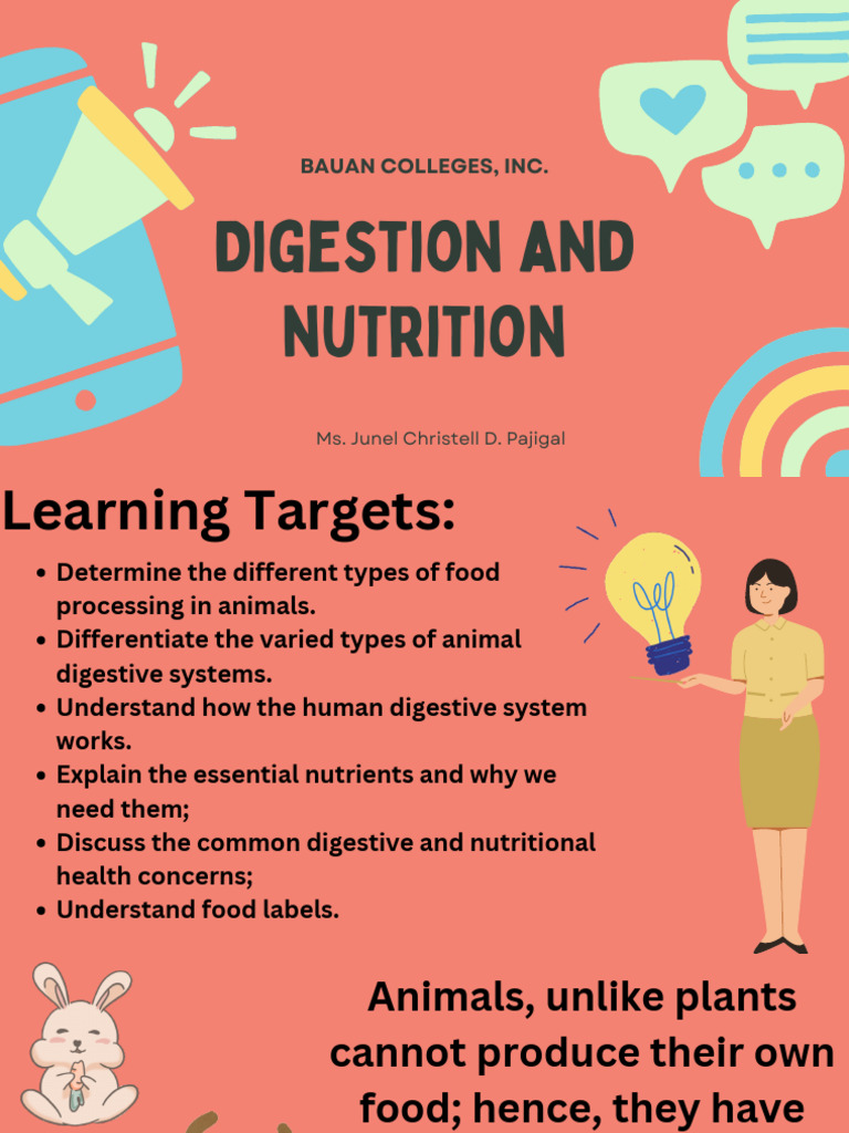 Food Processing and Digestion of Animals | PDF | Foods | Digestion