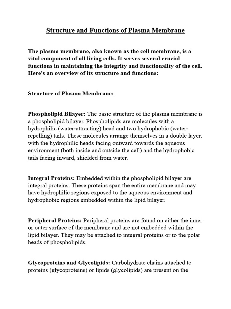 Structure and Functions of Plasma Membrane | PDF | Cell Membrane | Osmosis
