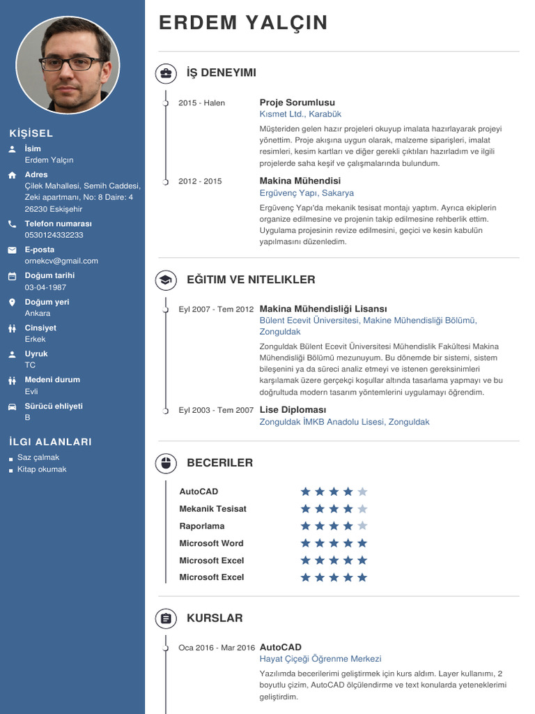 CV Ornek Muhendis | PDF