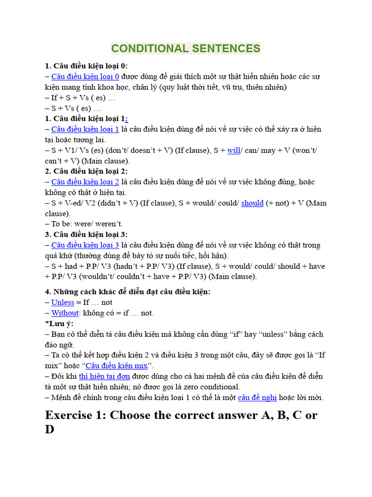 Conditional Sentences | PDF