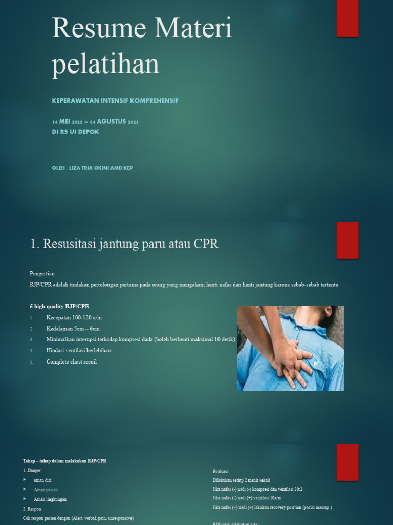 Resume Icu Liza | PDF