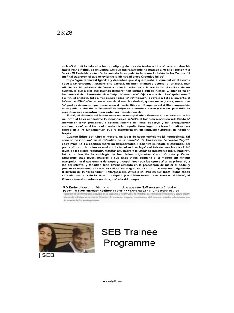 SEB Trainee Programme | PDF | Ficciones de misterio, "thriller" y crimen