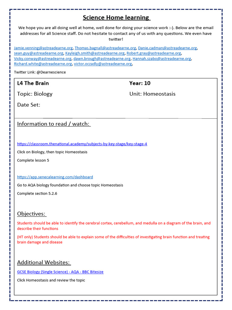 Homeostasis L4 Home Learning | PDF | Cerebrum | Neuron