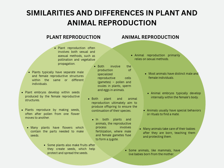 White Green Modern Venn Diagrams Graph | PDF | Plant Reproduction ...