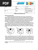 Elodea Osmosis in Salt Solutions | PDF | Osmosis | Glucose