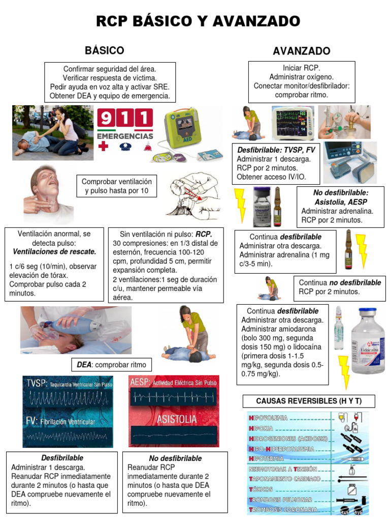 Infografía de RCP Básico y Avanzado | PDF | Reanimación cardiopulmonar ...