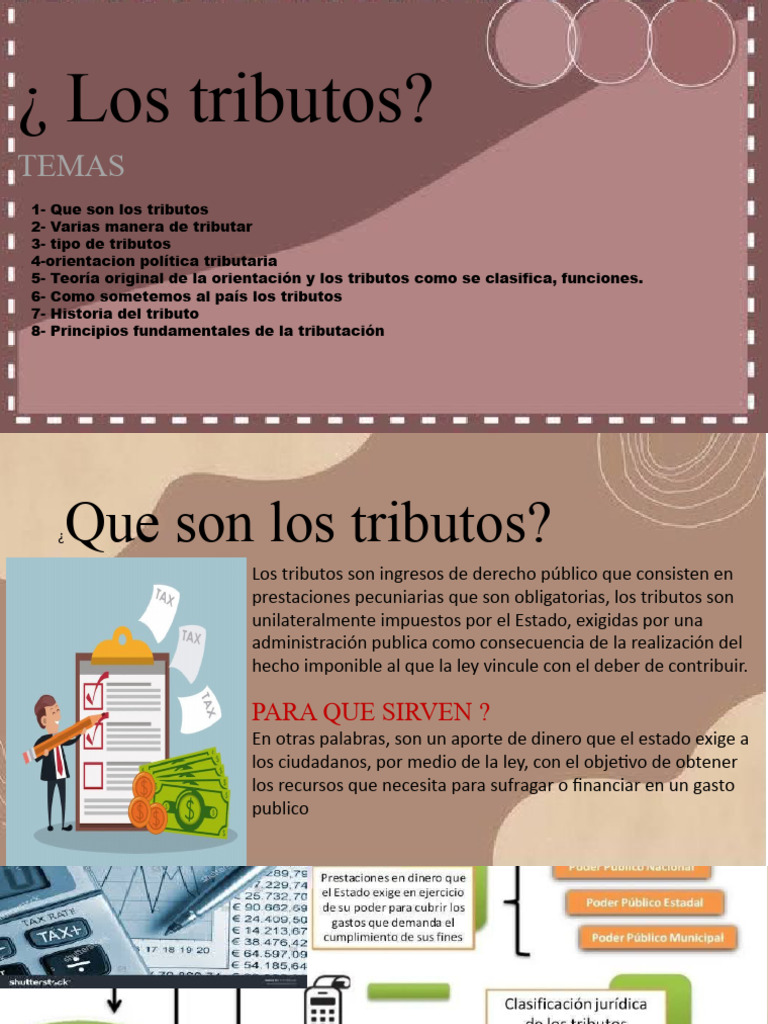 Que Son Los Tributos | PDF | Impuestos | Economias