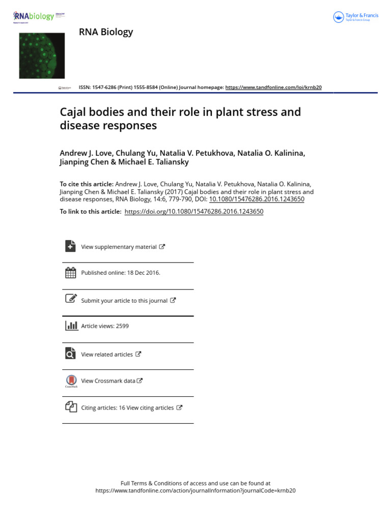 Cajal bodies and their role in plant stress and disease responses | PDF | Messenger Rna | Rna