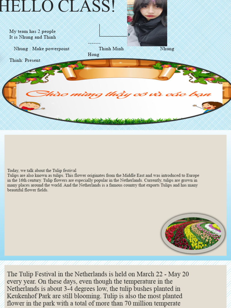 Hello Class | PDF | Tulip | Plants