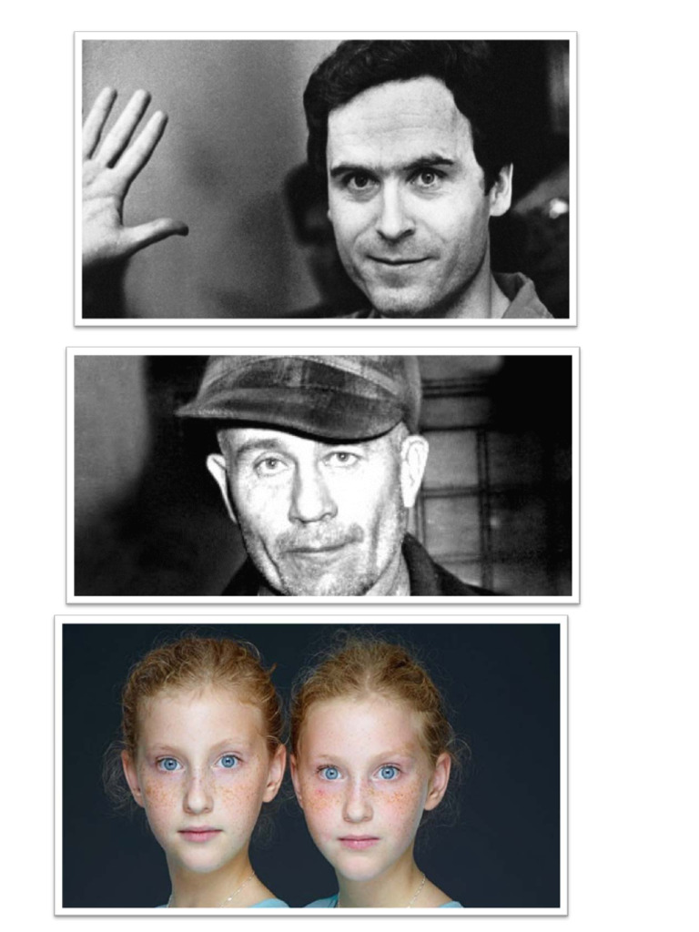 La Descripción Retrato (Fotos) | PDF