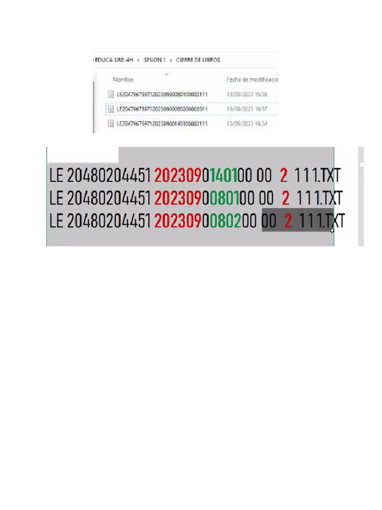 Sire Cierre de Libros - Codigos | PDF