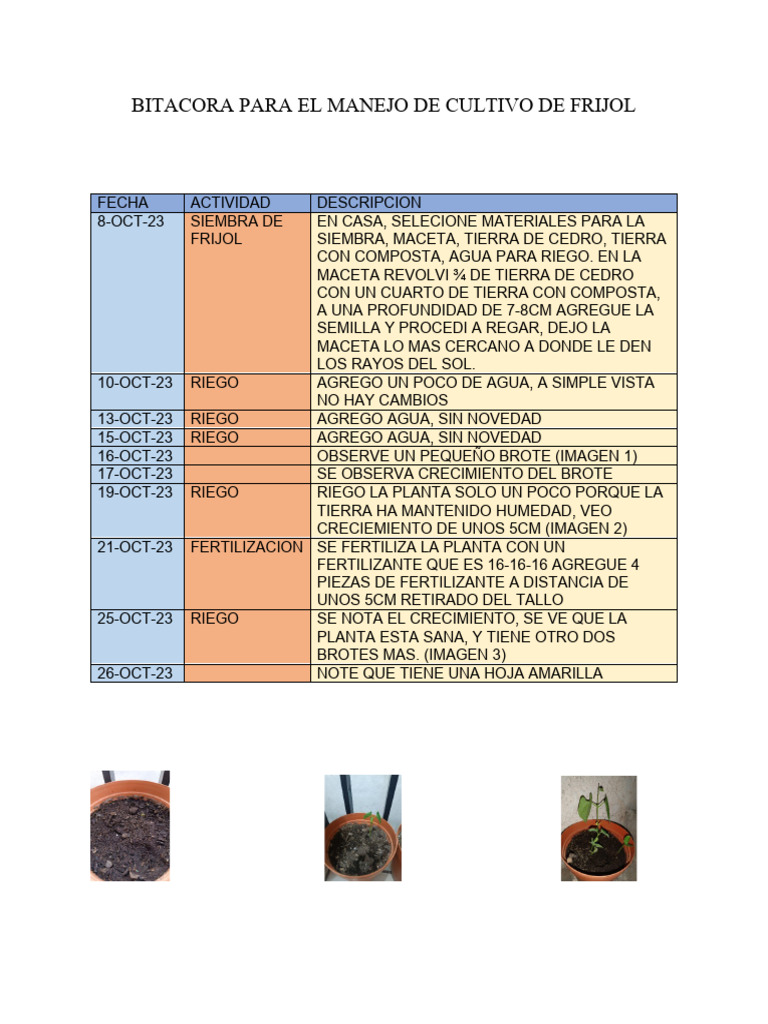 BITACORA PARA EL MANEJO DE CULTIVO DE FRIJOL | PDF
