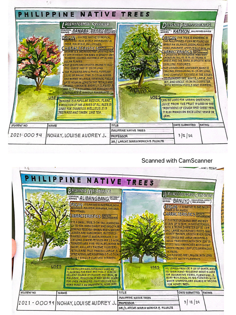 Nohay - RGS02 RW02 Philippine Native Trees | PDF