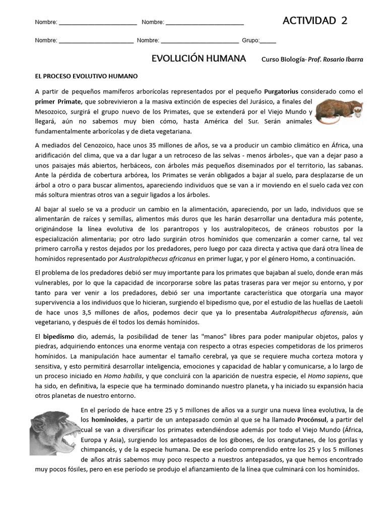 Primates-Hominidos Biologia Tarea | PDF | Humano | Homo
