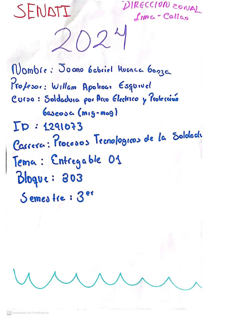 Entregable 01 Mig Mag Gabriel | PDF