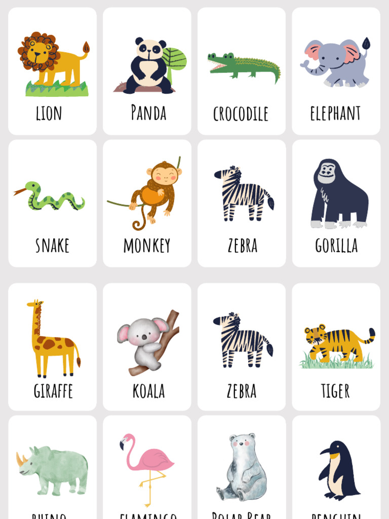 Colorful Illustrated Zoo Animals Kindergarten Flashcards | PDF
