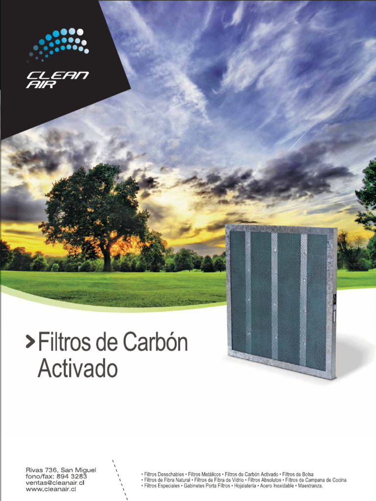 Carbon Clean | PDF