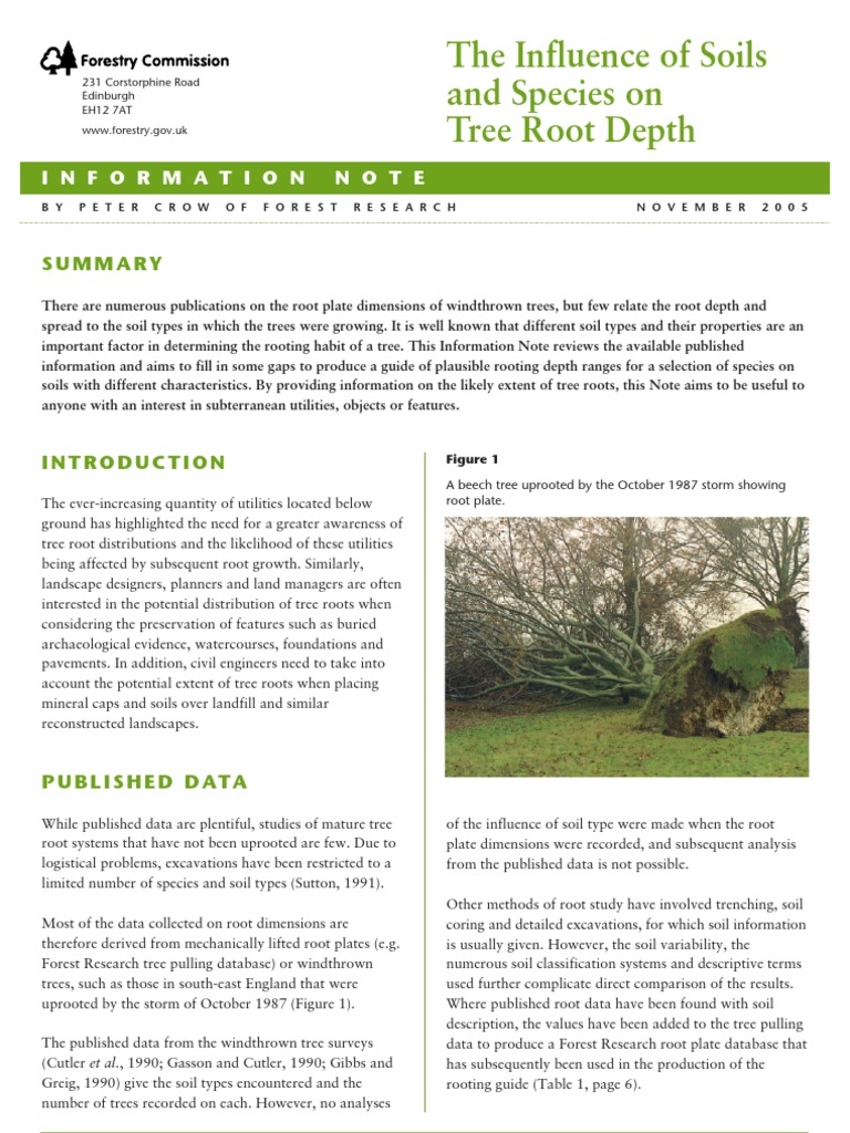 Guide To Root Depth and Soil Composition | PDF