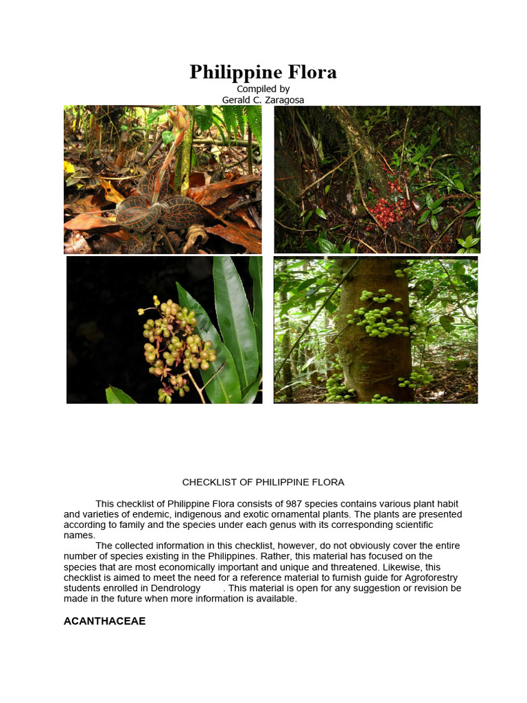 Philippine Flora | PDF | Botany | Plants