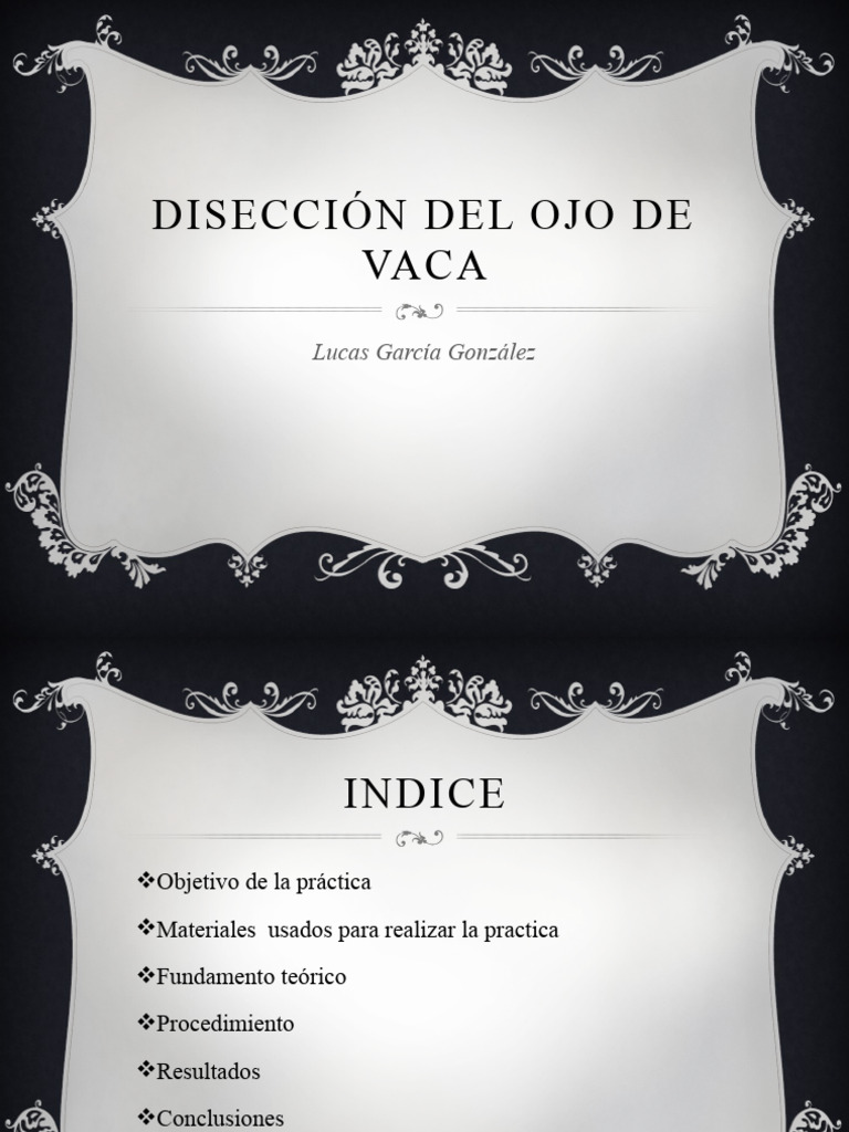 Disección Del Ojo de Vaca | Descargar gratis PDF | Ojo humano ...