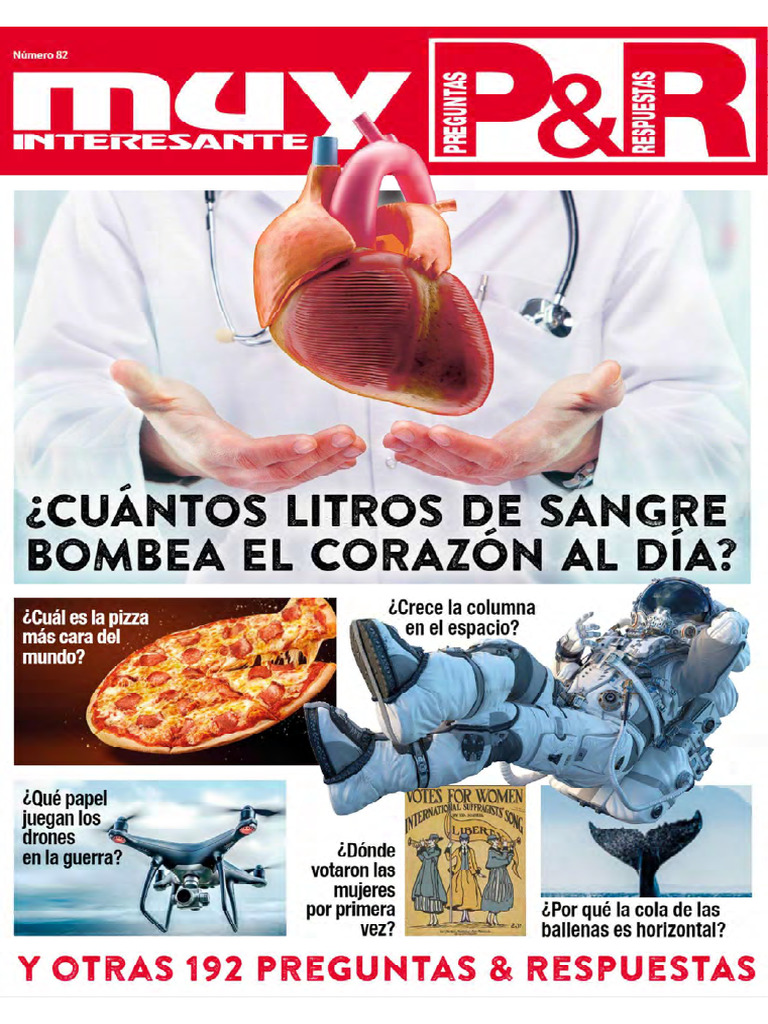 82 24 Muy Interesante P&R | PDF