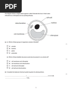 Magnification Worksheet | PDF | Units Of Measurement | Teaching Mathematics
