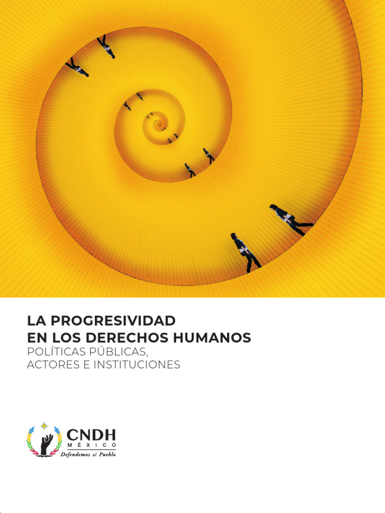 Progresividad en Derechos Humanos | PDF | Derechos humanos | Presupuesto