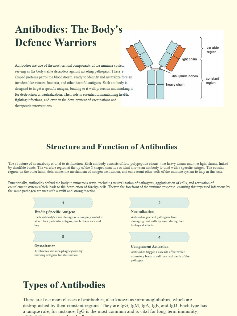Antibodies The Bodys Defence Warriors | PDF | Antibody | Monoclonal Antibody