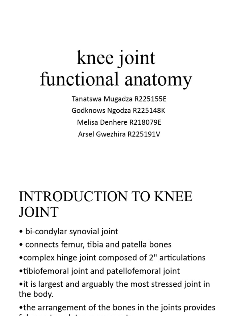 Knee Presentation | PDF | Knee | Joints