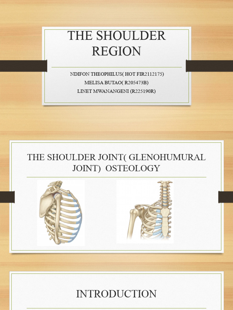 Shoulder Presentation | PDF | Arm | Anatomical Terms Of Motion
