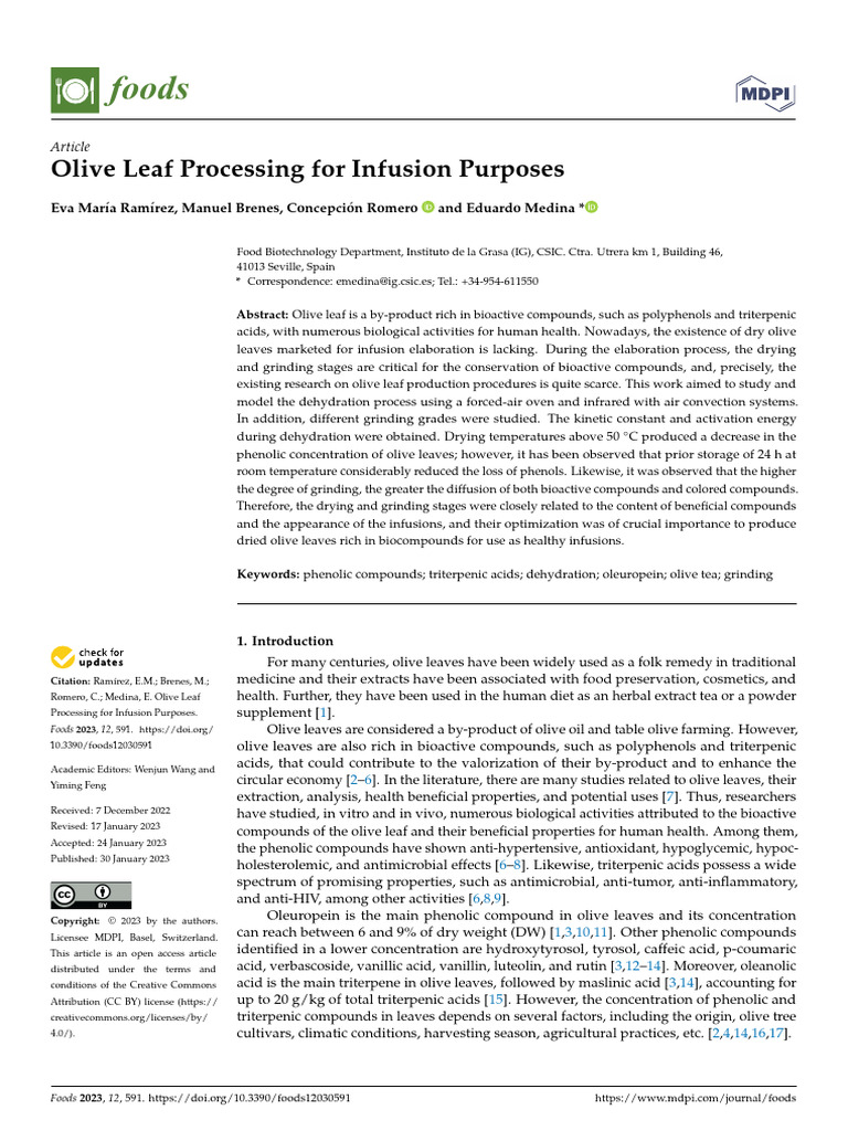 Olive Leaf Processing for Infusion Purposes (protocolo INF) | PDF ...