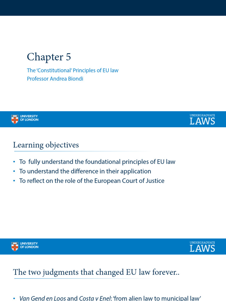 Principles of EU Law: Direct Effect & Supremacy | PDF