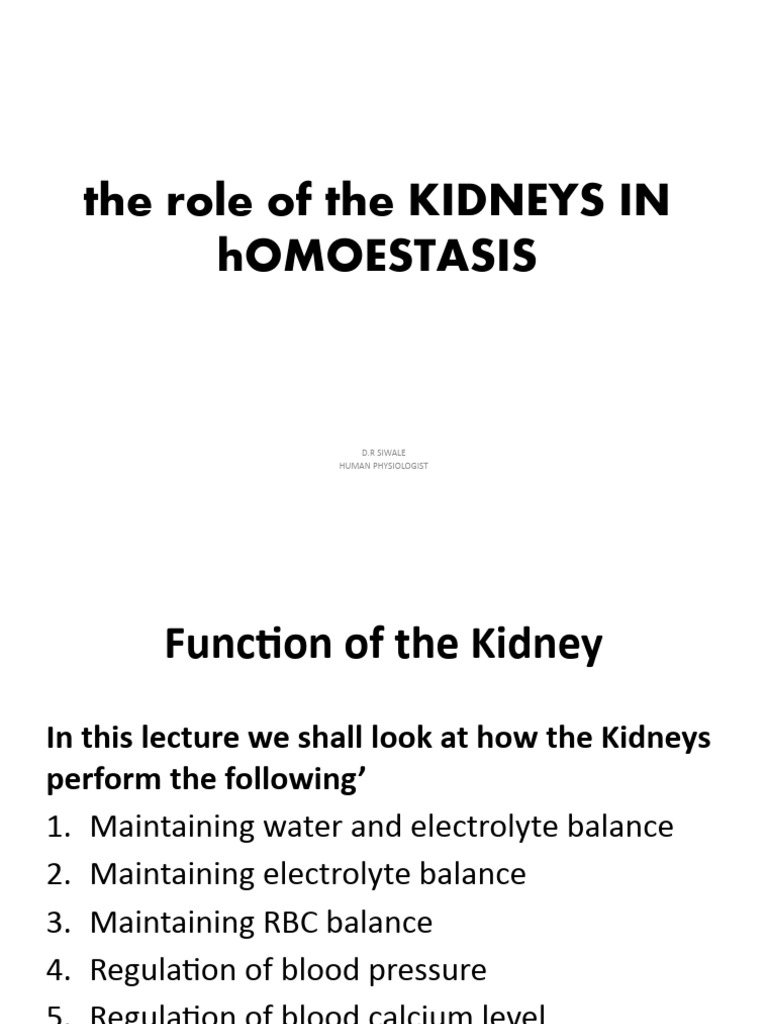 Role of The KIDNEYS in Homeostasis by D Siwale | PDF | Angiotensin | Kidney