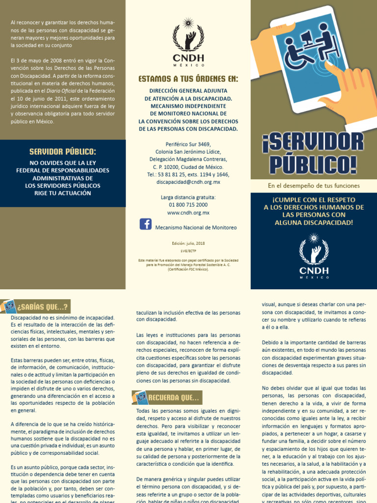 Triptico Servidor Publico | PDF | Invalidez