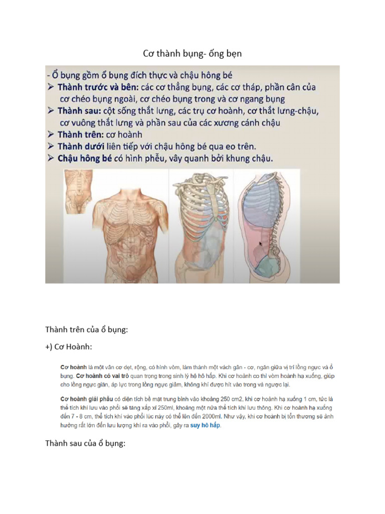 Cơ Thành B NG | PDF