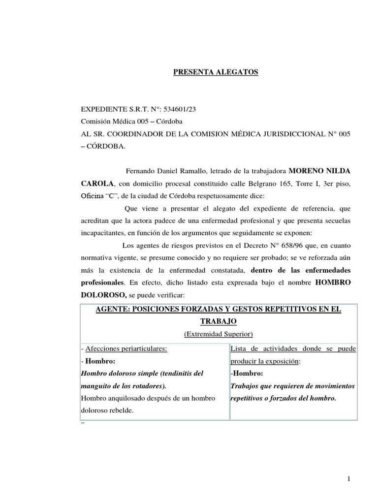 Alegato Moreno Nilda | PDF