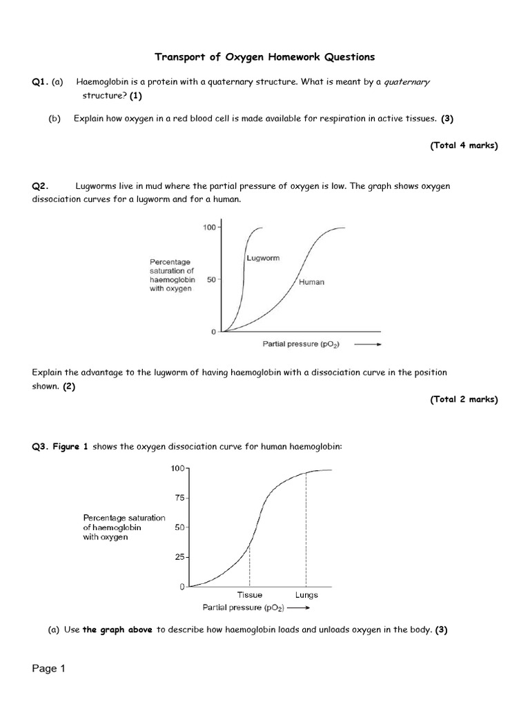 Oxygen Transport Homework Questions | PDF | Hemoglobin | Oxygen