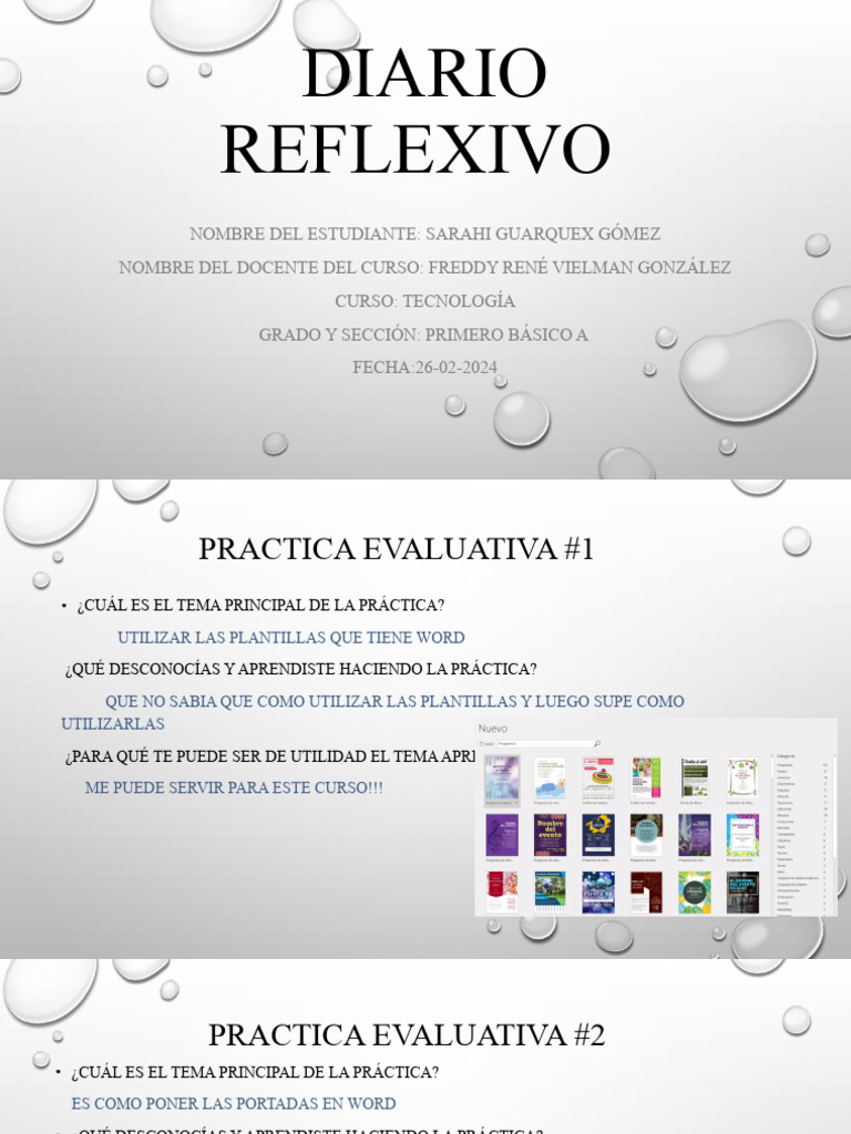 Diario Reflexivo | PDF