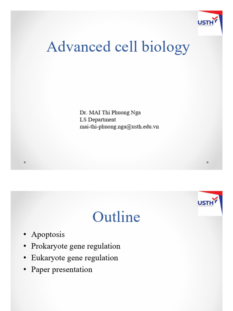 Apoptosis Lecture 2023 2024 | Download Free PDF | Apoptosis | Caspase