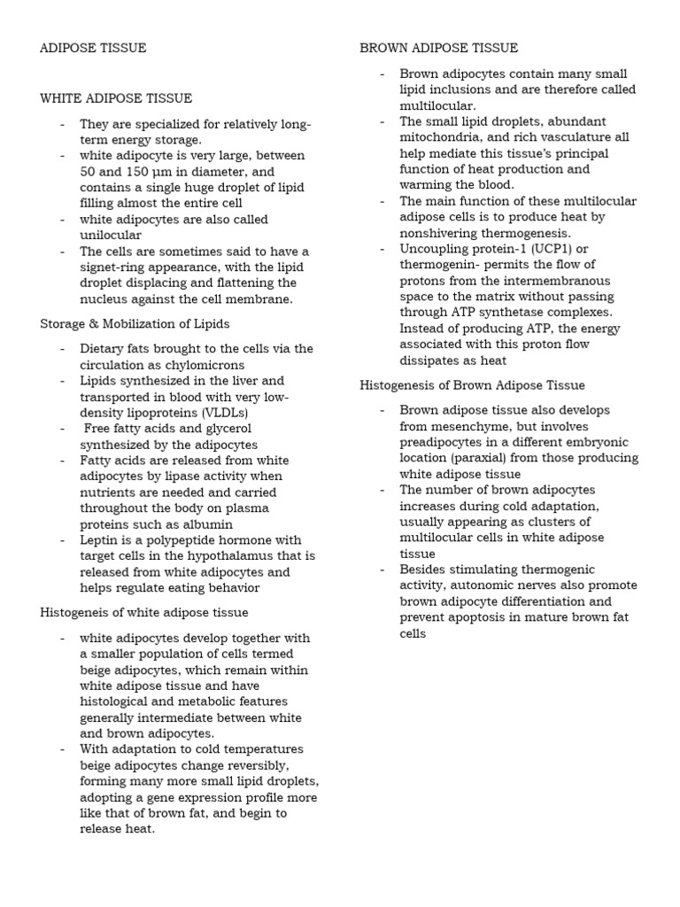Adipose Tissue | PDF | Adipose Tissue | Adipocyte