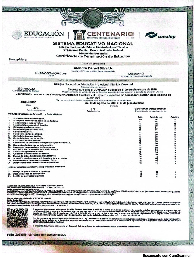 Certificado Dan | PDF