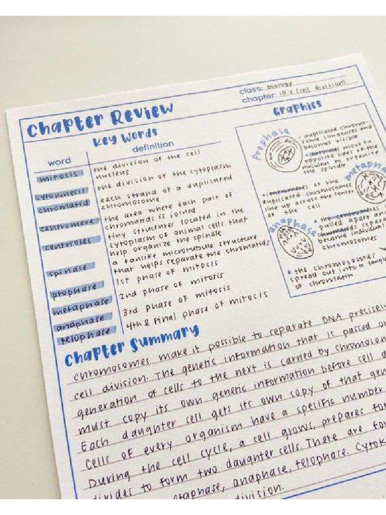 PRINTABLE Student Review Templates Homeschool Printable Chapter Review ...