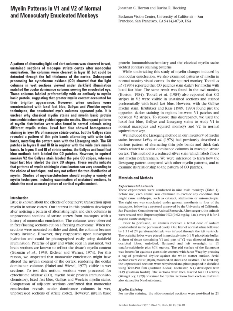 Myelin Patterns in V1 and V2 | PDF | Visual Cortex | Immunohistochemistry