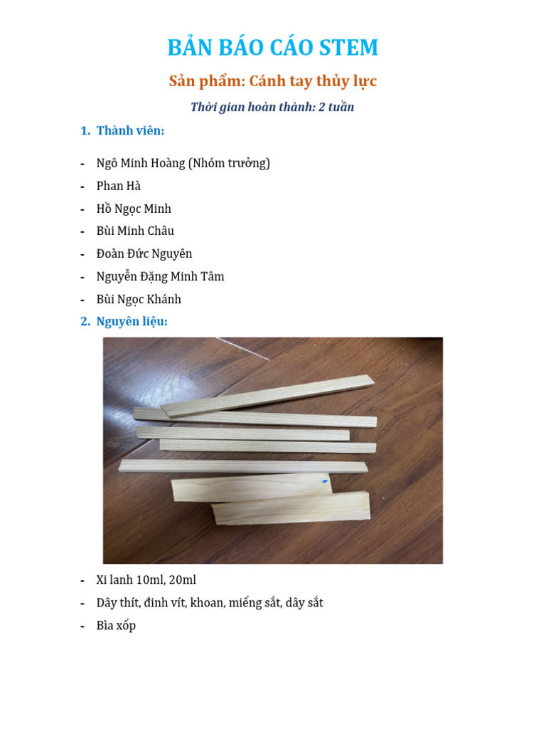 bản báo cáo stem (2).canhtaythuyluc | PDF