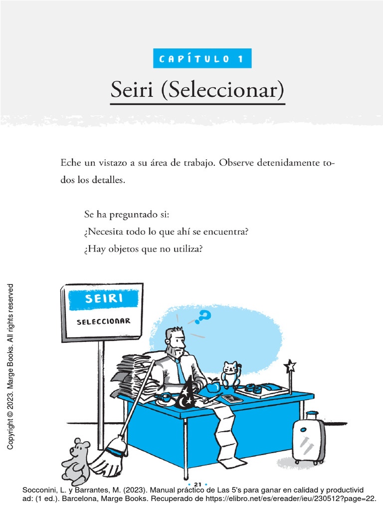 Manual Practico de Las 5's Seiri | PDF