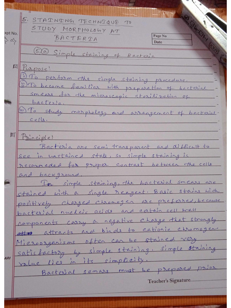 Microbiology Practical Topic 5.a. | PDF