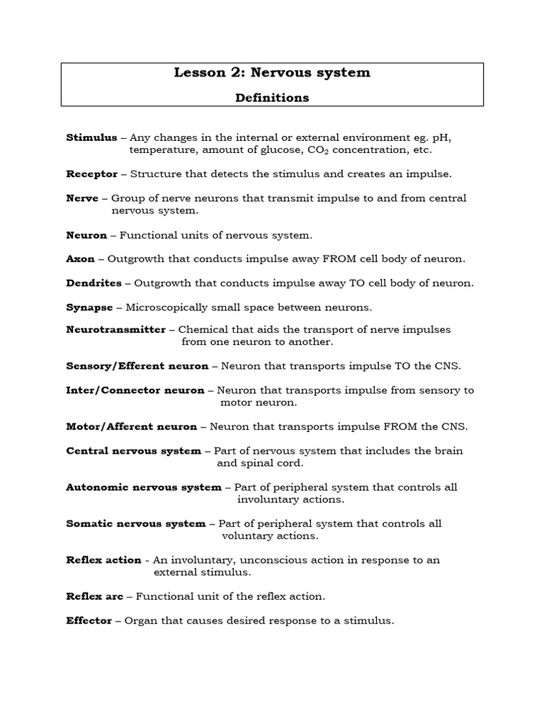 Nervous System Basics for Students | PDF